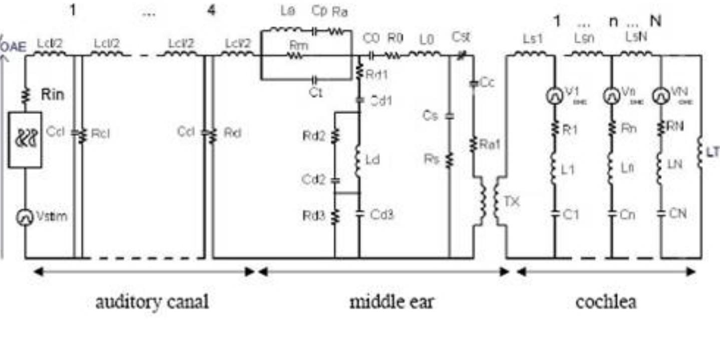 The considered ear model is depicted in figure 11 and