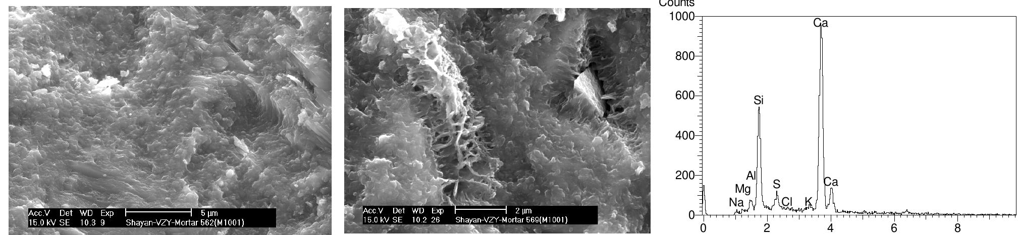 Sem views of the fracture surface of mortar specimen