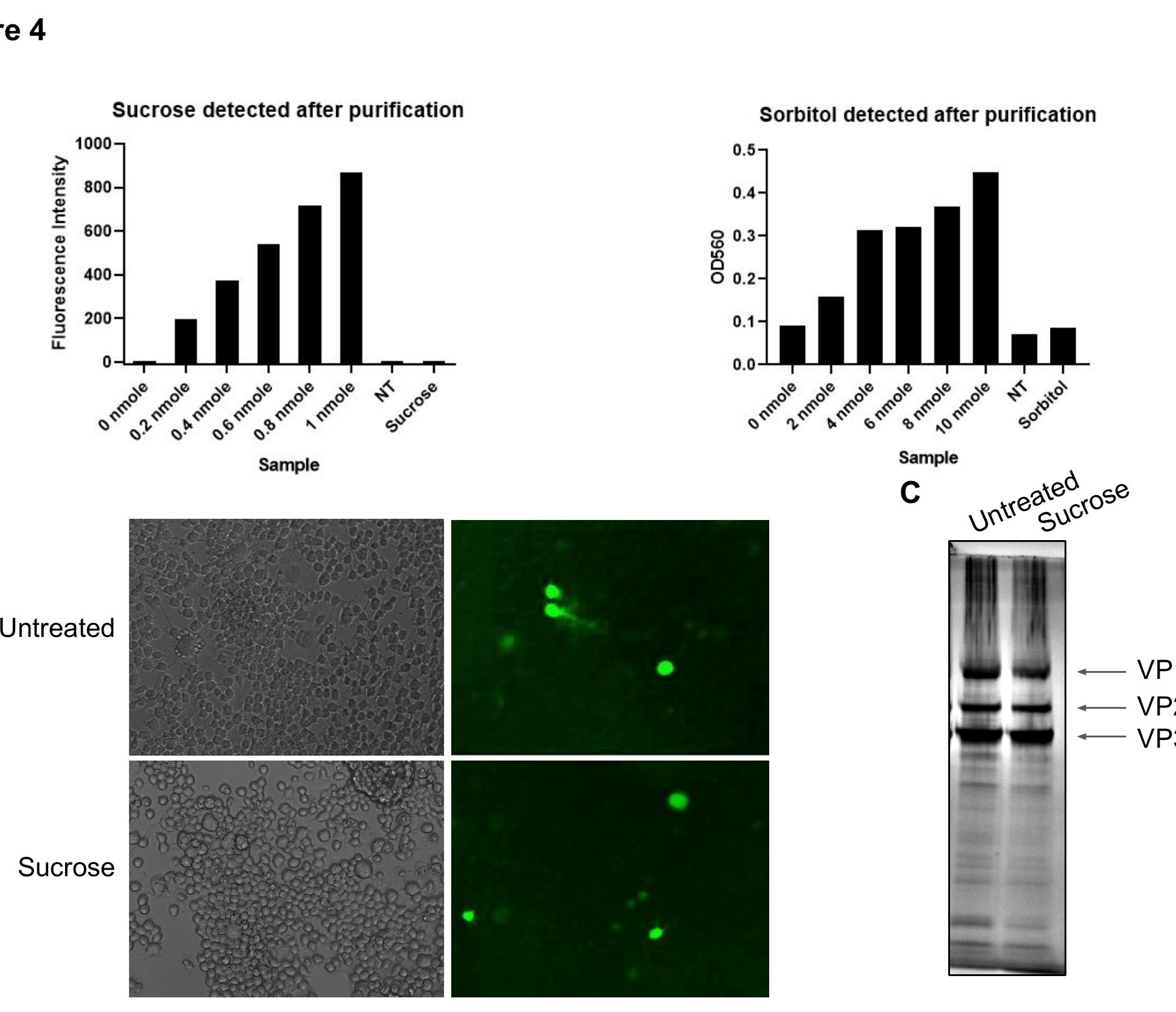 Figure 2 - Improved yield of AAV2 and rAAV2-retro serotypes