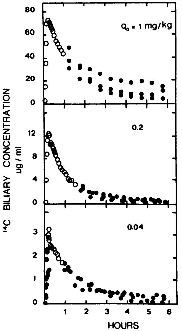 Typical biliary profiles of total radiolabel in bile-duct