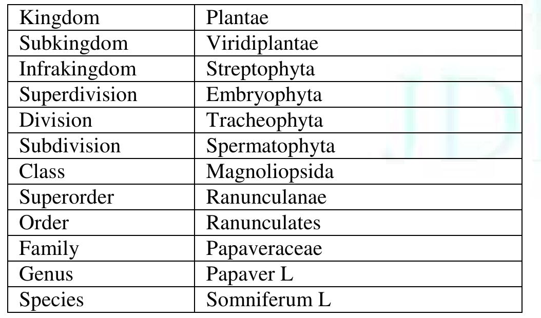 Taxonomical classification (itis standard report)