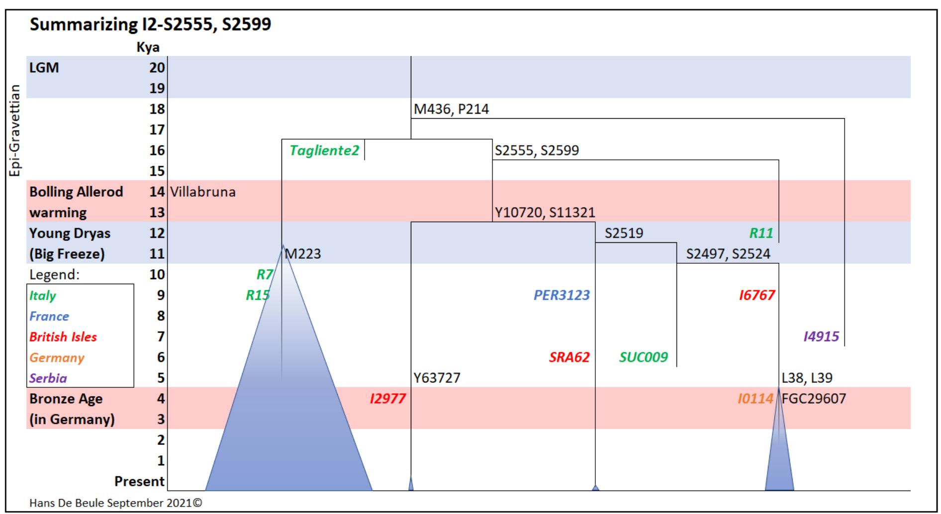 Summarizing family tree of y-haplogroup 12-m436. the diagram