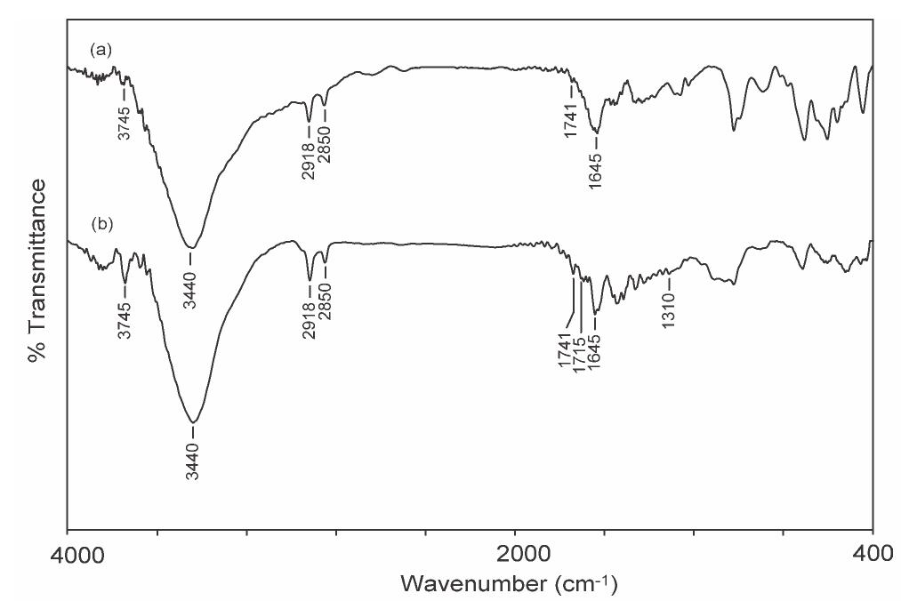 Ftir spectra of carbon black grades (a) haf and (b) ecf.