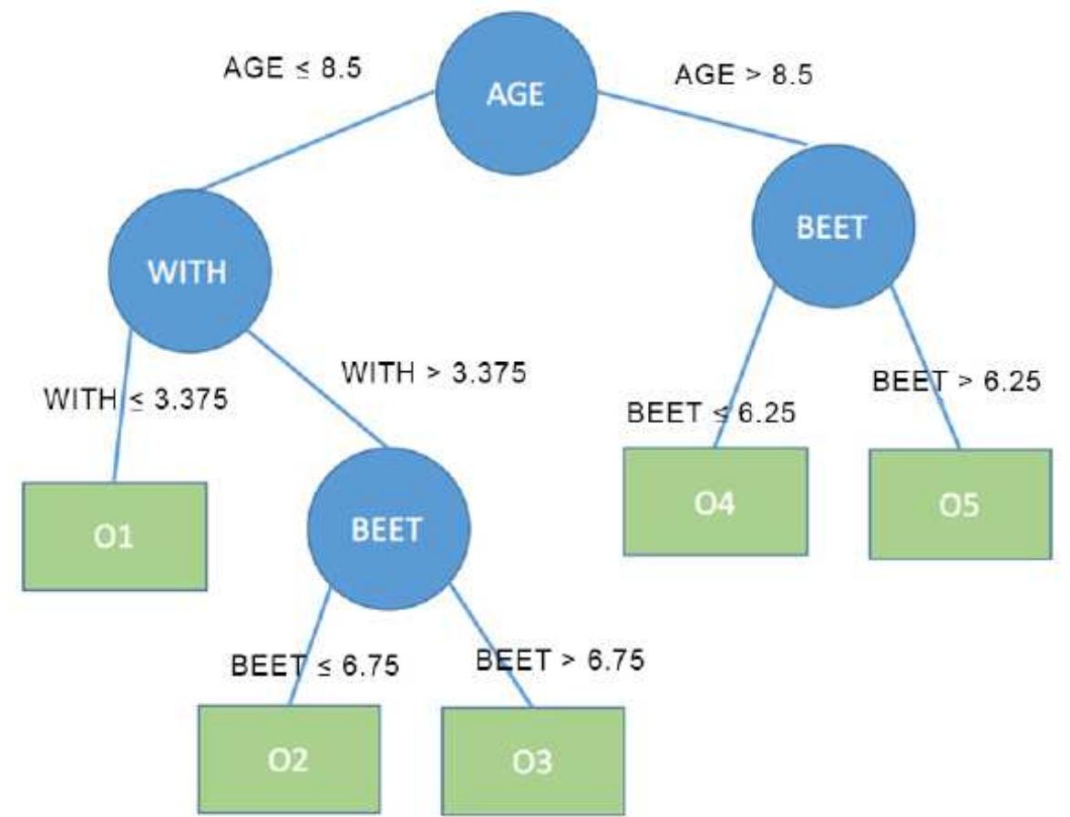 Regression tree of orange orchards classification by ms