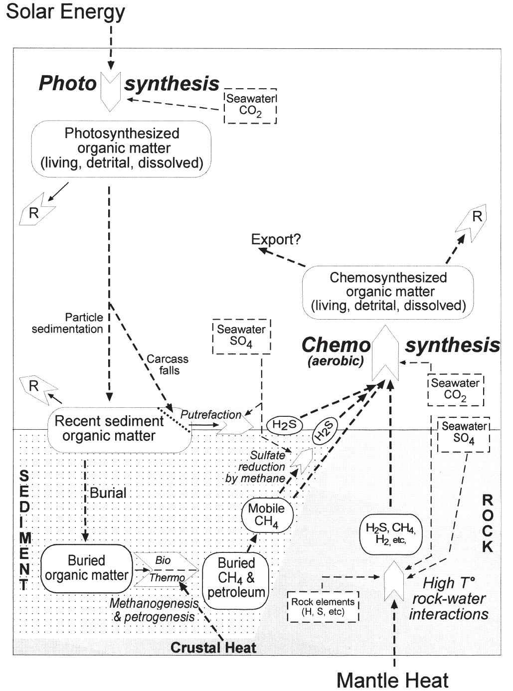 7. simplified energy-flow diagram illustrating the