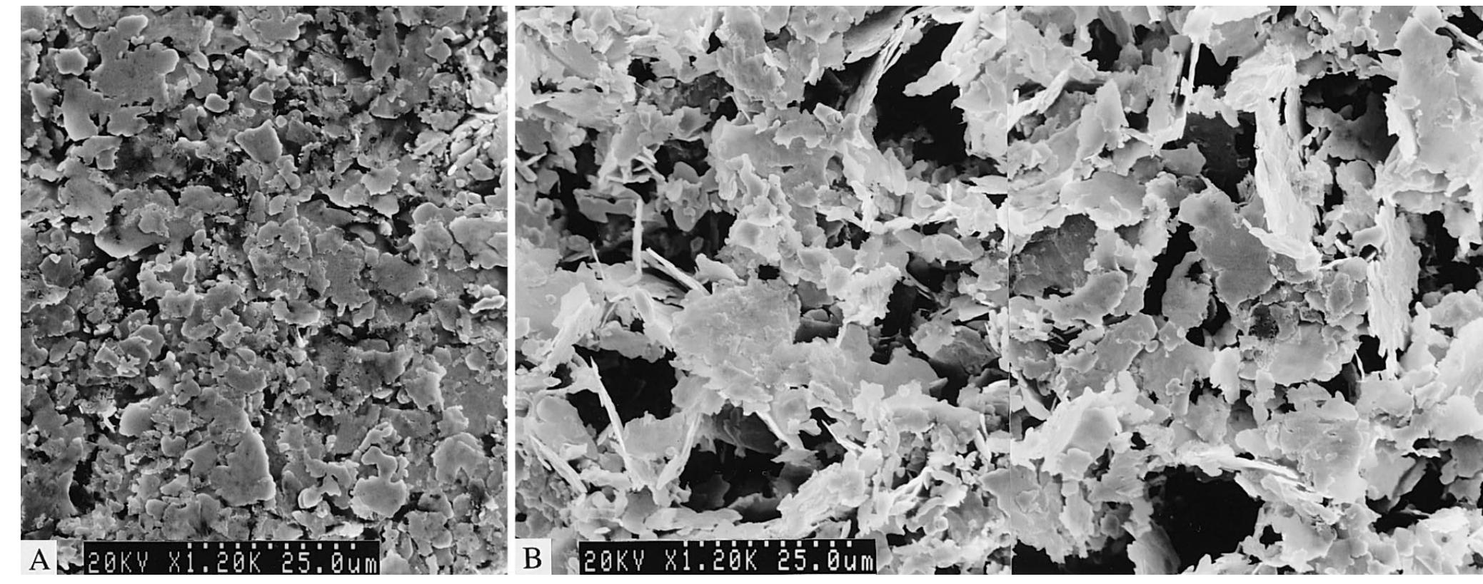 Scanning electron microscope photographs showing two main