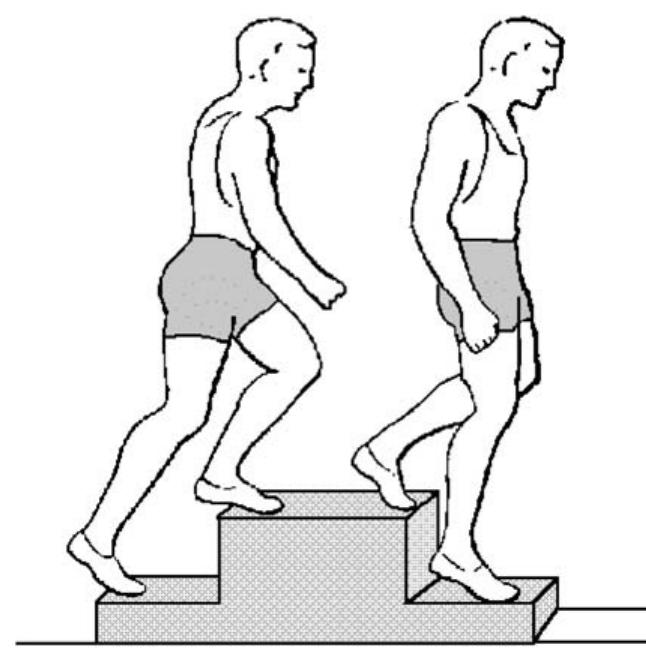 Ascending and descending stairs.