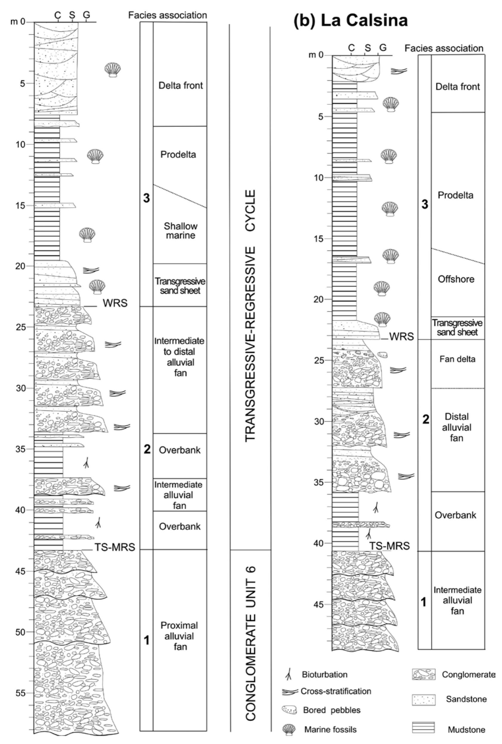 detailed stratigraphy and facies interpretation of the