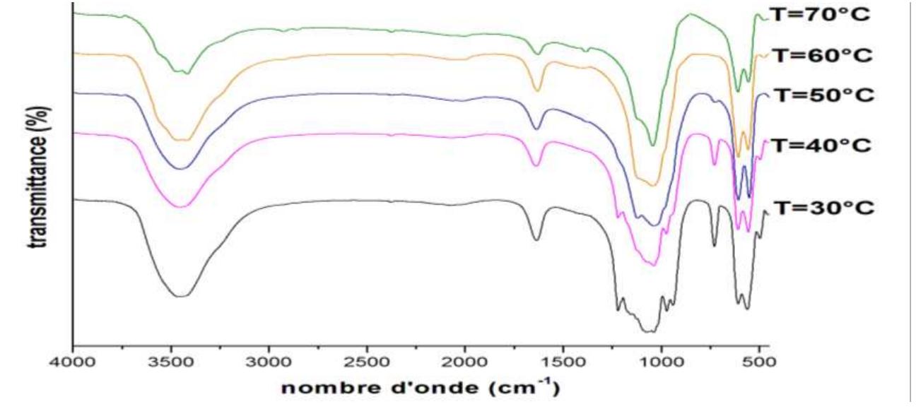Ir spectra of tcp powder synthesized at different