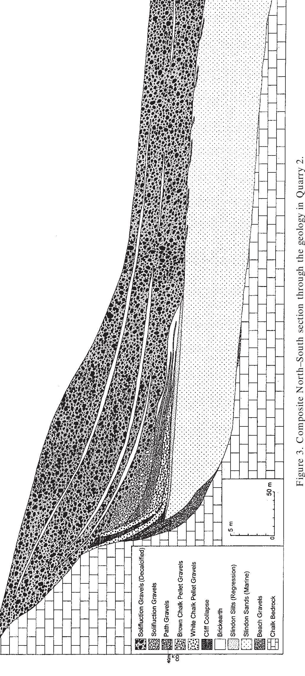 Figure 3 - The Middle Pleistocene human tibia from Boxgrove