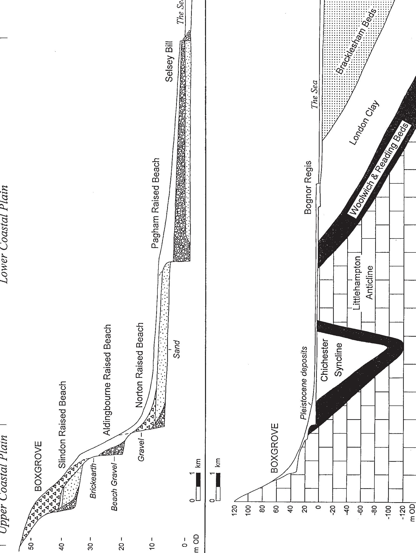 Table 1 - The Middle Pleistocene human tibia from Boxgrove