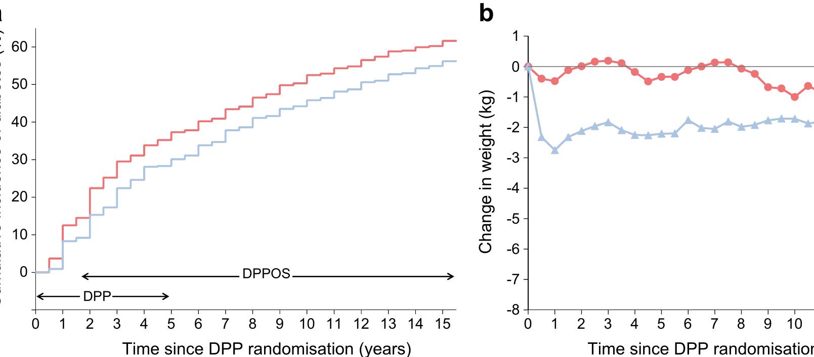 Effects of lifestyle intervention or metformin on diabetes
