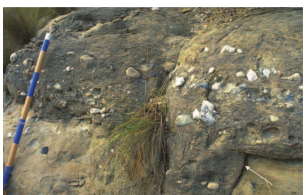 Fic. 18.—phototgraph of floating clasts in a thin debrite,