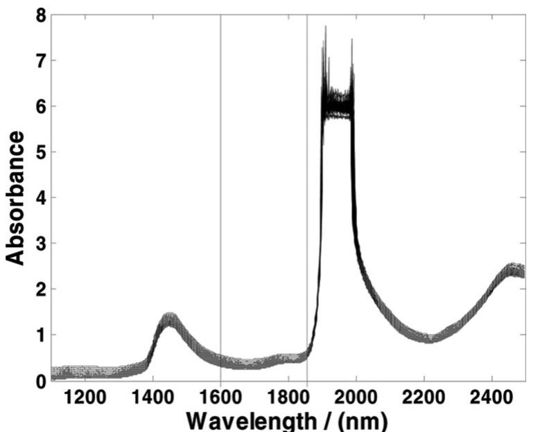 Nir spectra of sugar cane juice. the interval between 1600
