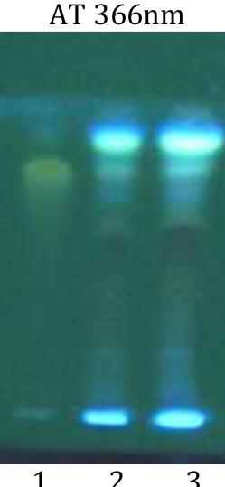 Figure 5 - Full Proceeding Paper CHEMICAL STANDARDIZATION