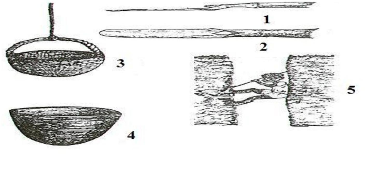 Figure 1 - Traditional Gold Mining in the Akan States of