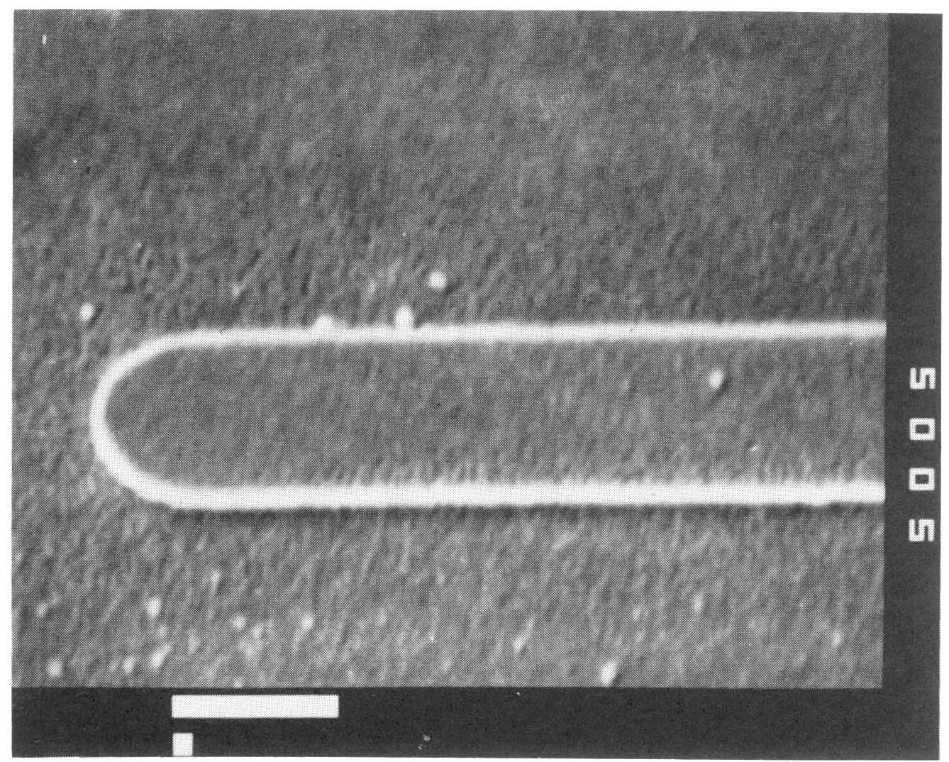One micron line etched in 40 sccm sif,+ 10 sccm 0), at a