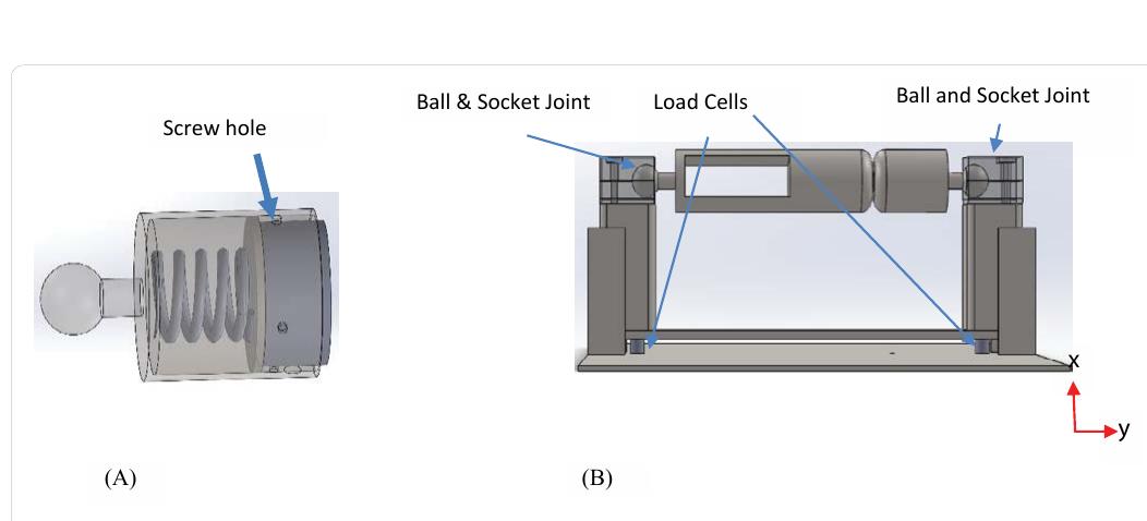 The lower limb segment of the electromagnet with the spring