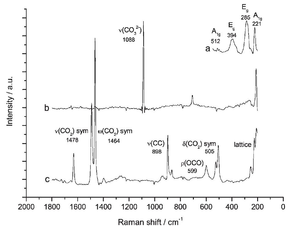 Micro-raman spectra of neo-formed phases after treatment of