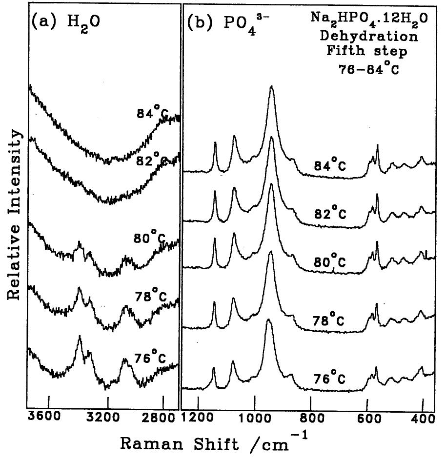 Thermo-raman spectra of na,»hpo,-12h,o in the temperature