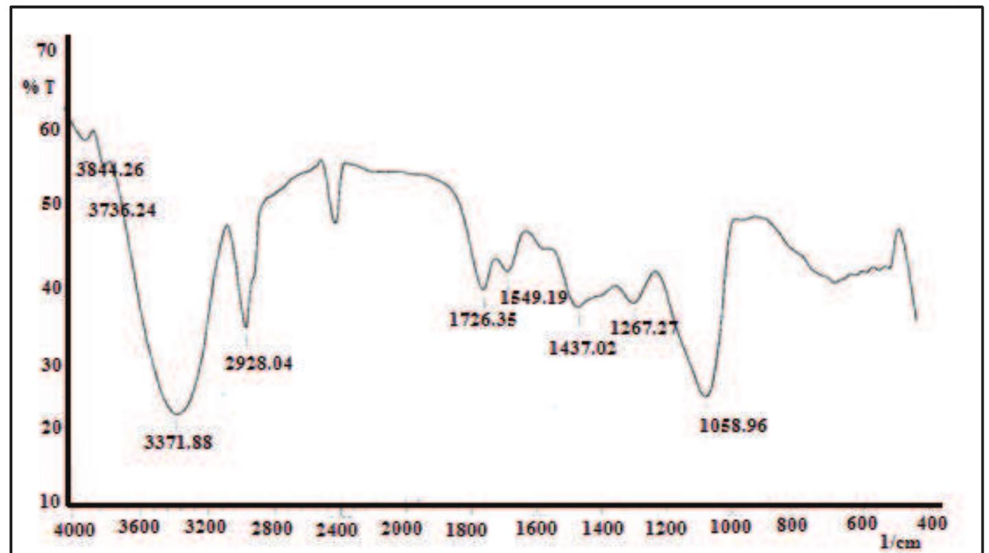 The ftir of the cuo nps prepared by plal method. figure 1