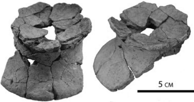 7: examples of rim shapes.