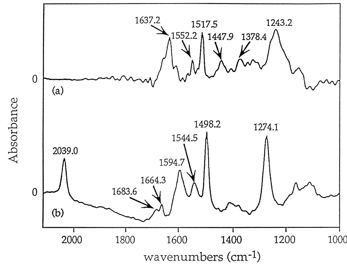 Fi/ftir spectra of a 50 mm acetaminophen aqueous solution