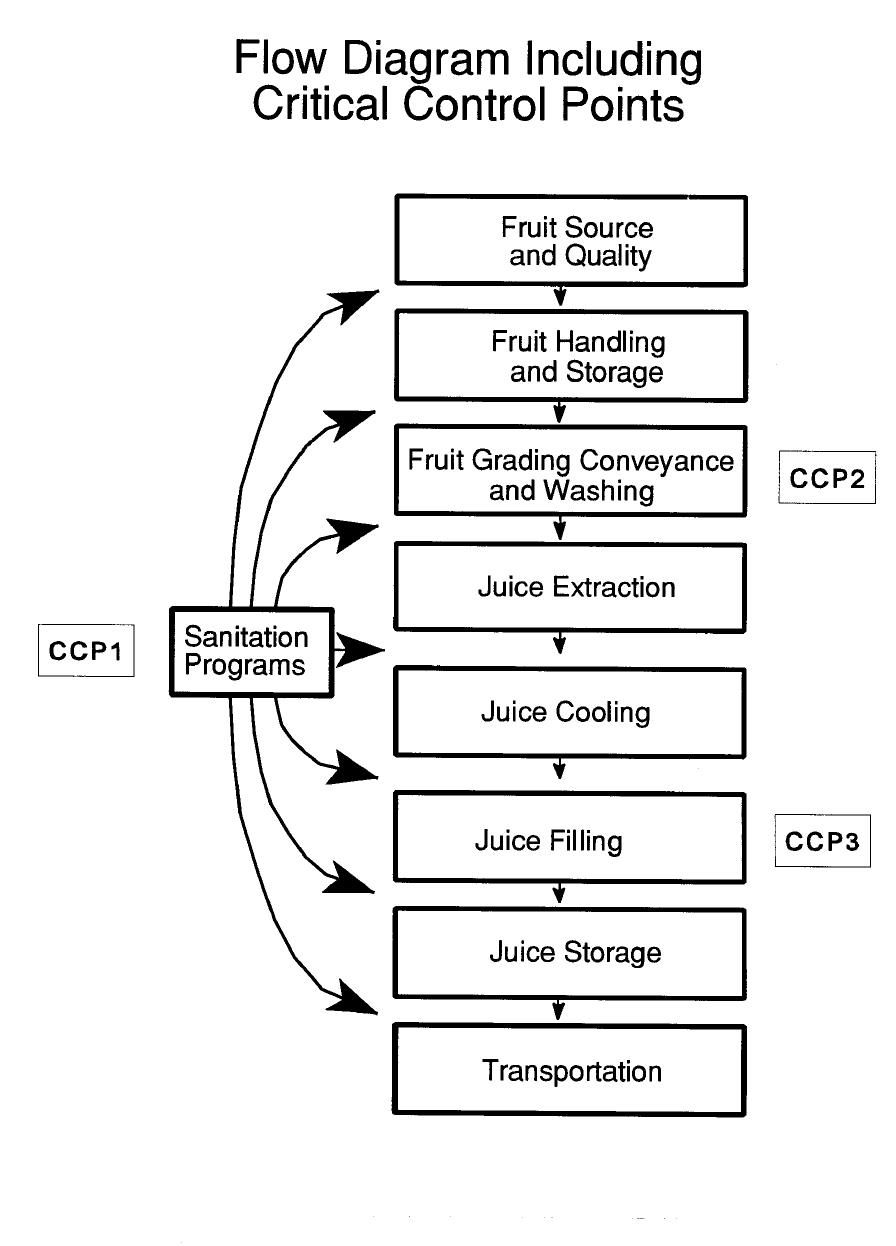 Flow diagram with ccps. ccp 2: grading, conveyance and