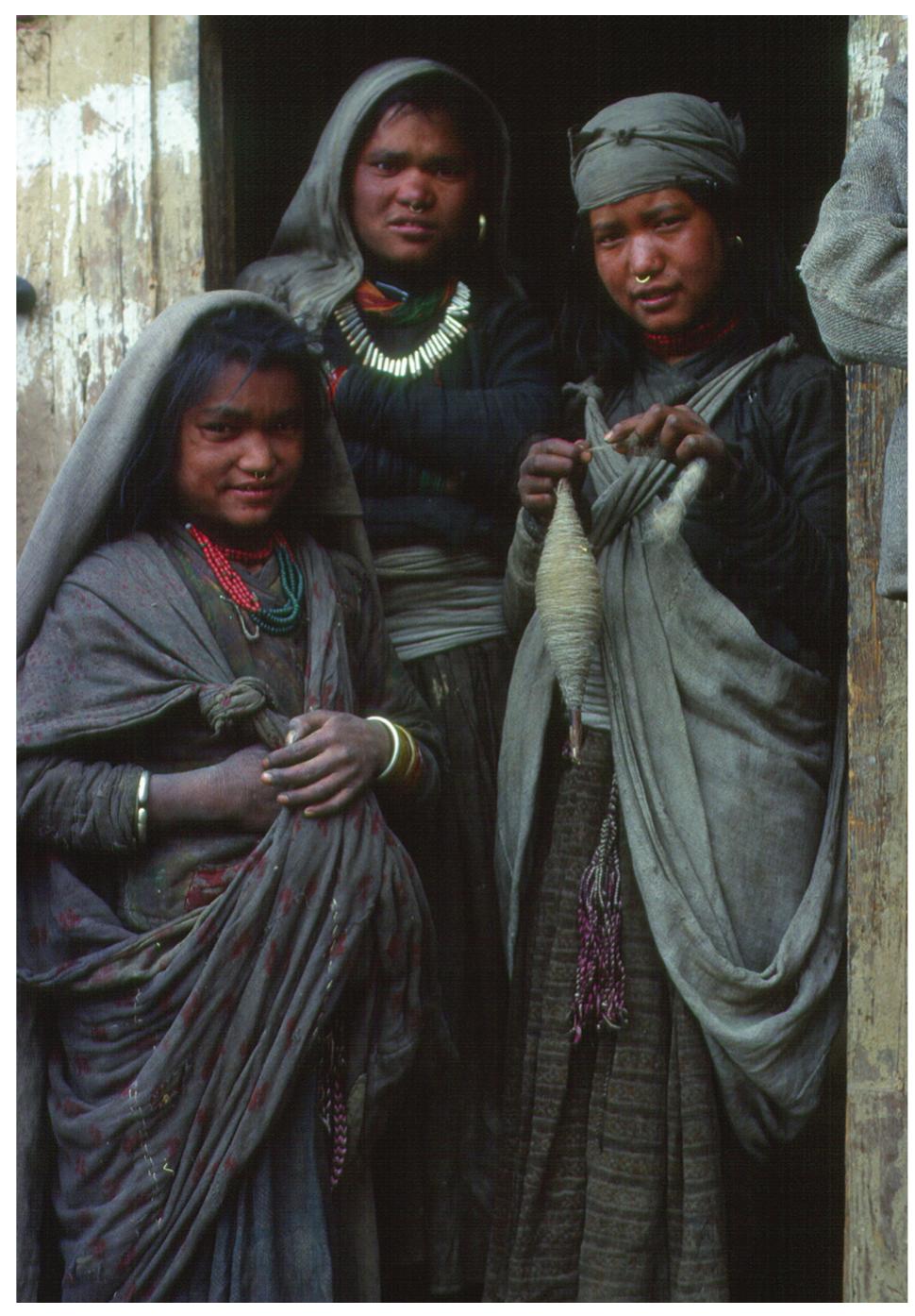 The most groundbreaking pioneering research on using nettle