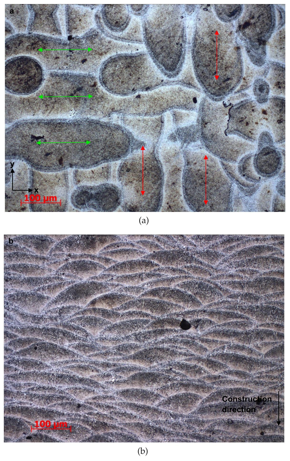 (a) as-built alsi10mg, plane (x, y), (b) as-built aisi10mg,
