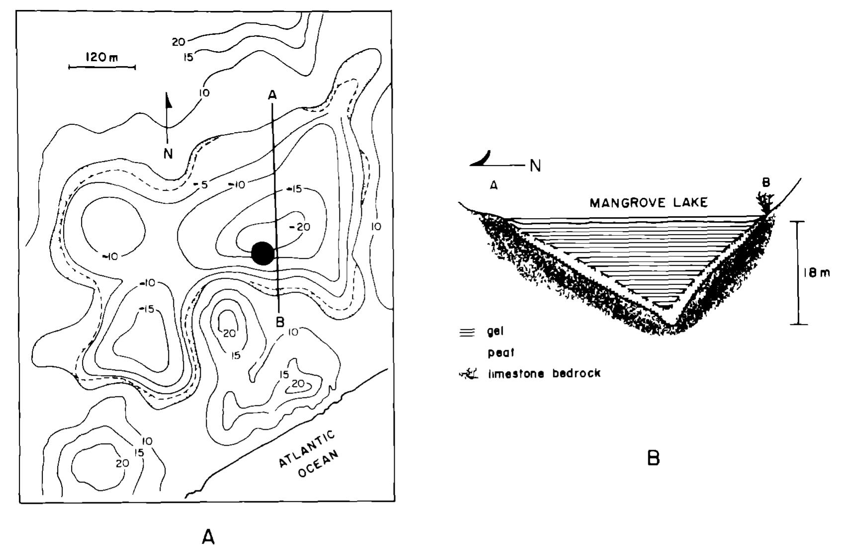 | topographic map of mangrove luke (a) plan, (b)