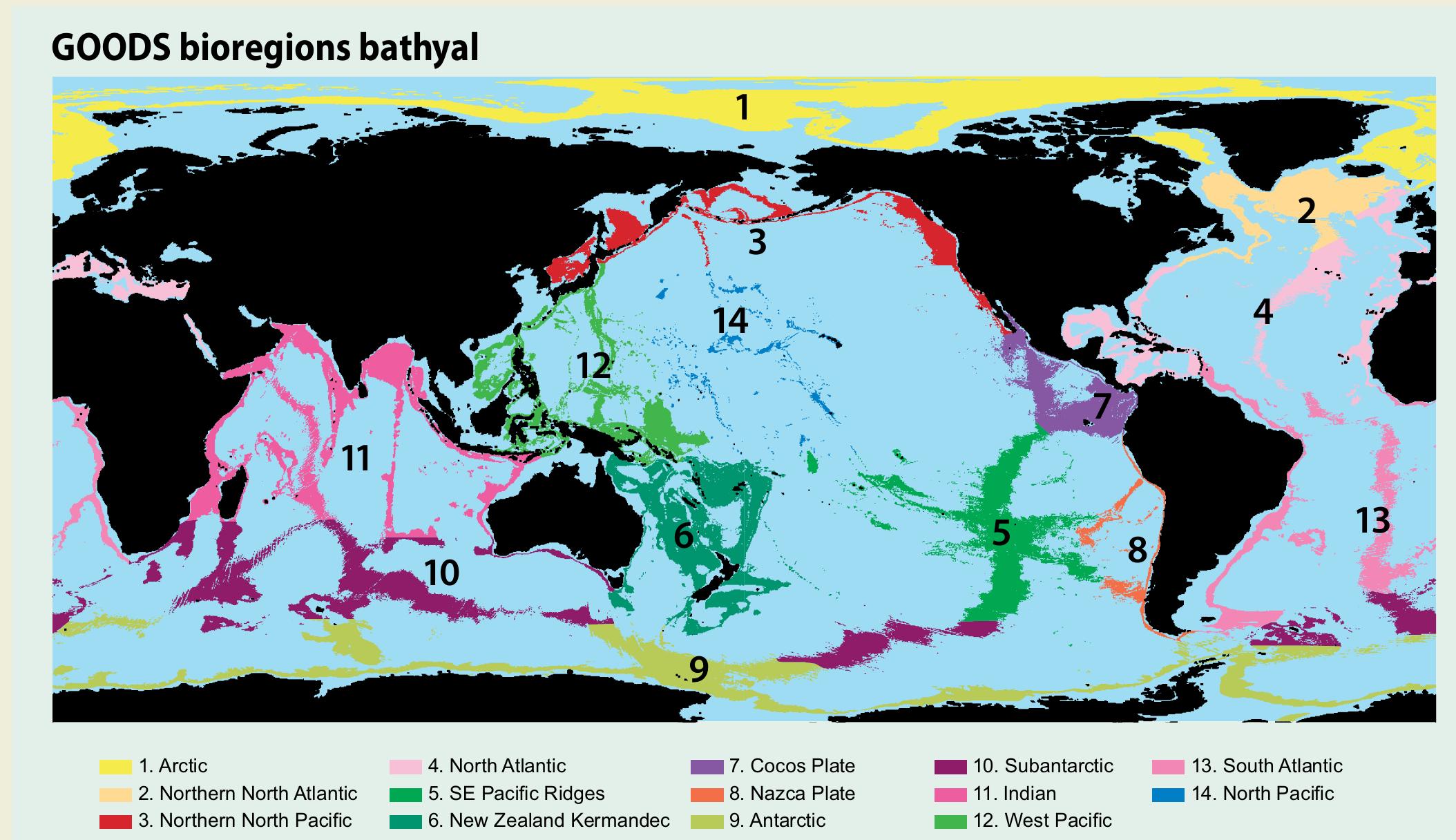 Lower bathyal provinces. depth range 800 to 3000 metres