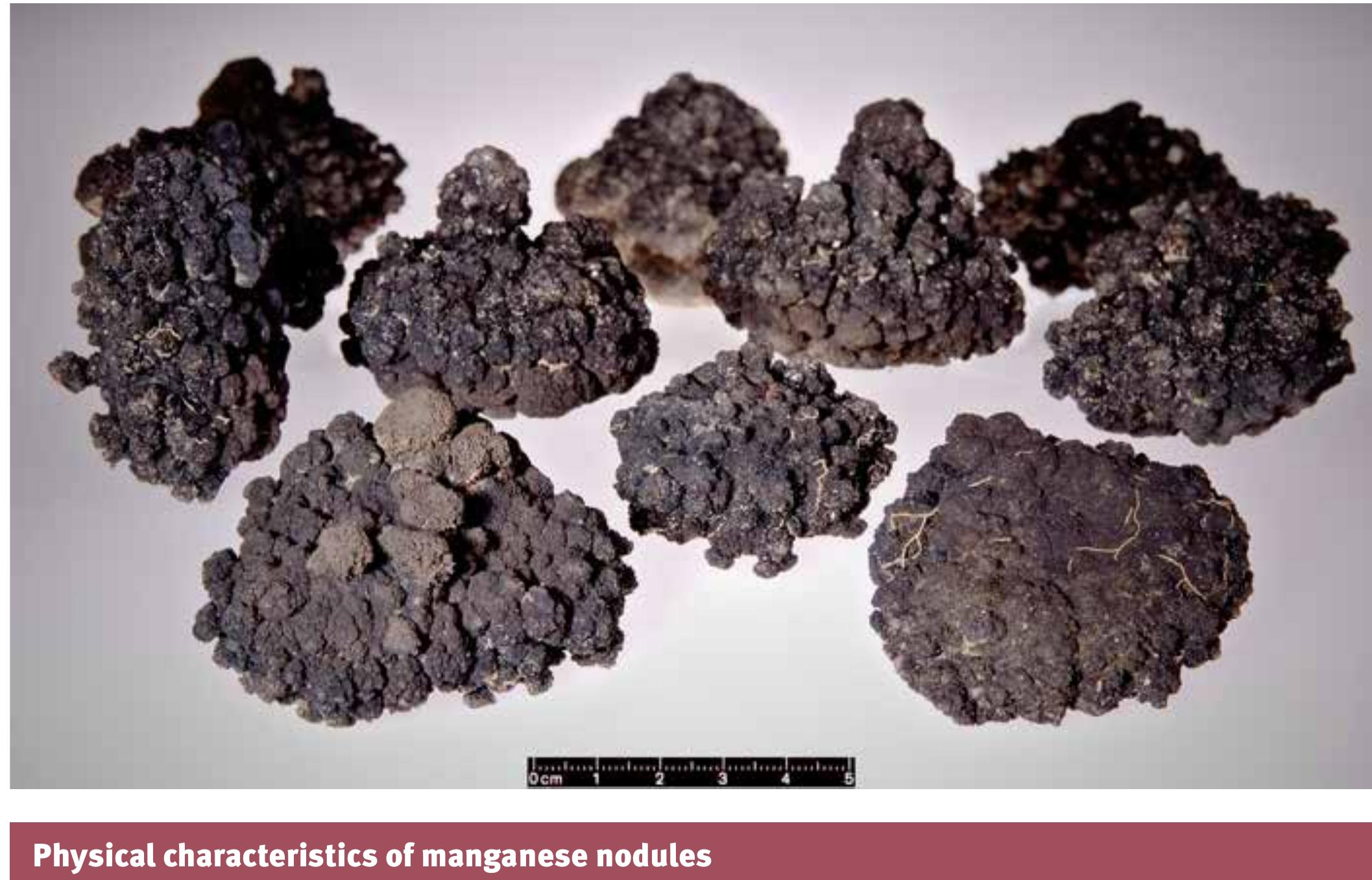 Manganese nodules come in many shapes and sizes. they can be