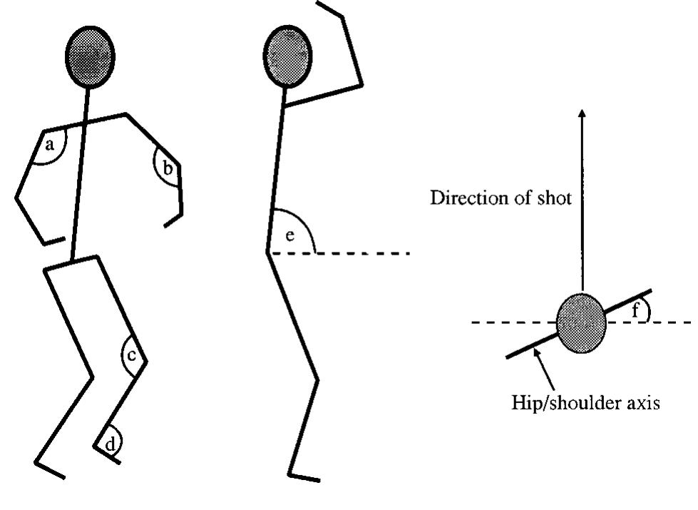 Diagrammatic representation of measured joint angles: a