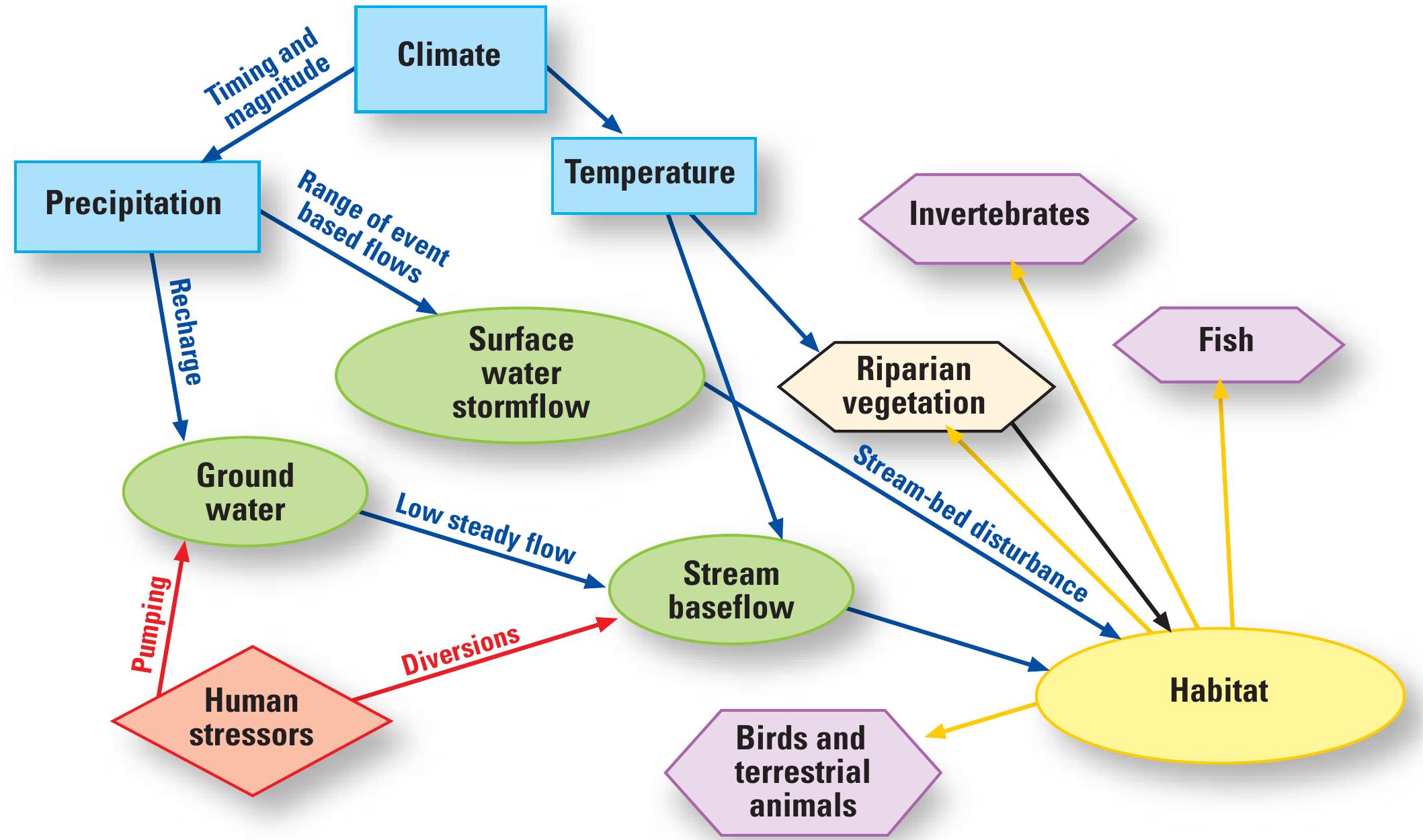 Diagram showing a conceptual model of abiotic and biotic