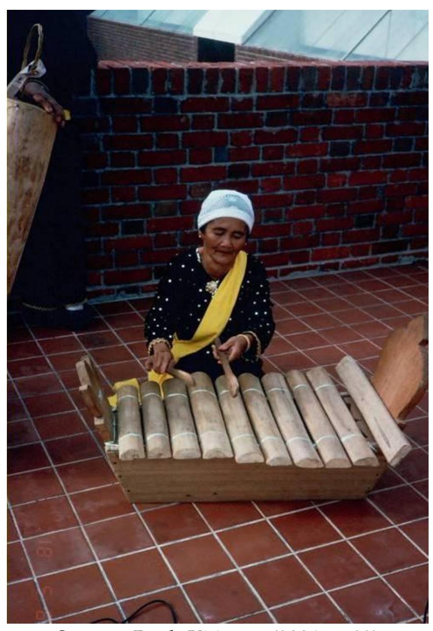 Photo 2: puan mastiah mokmin playing gabang during a visit