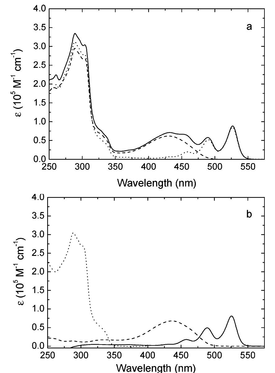 Uv-vis absorption spectra of (a) opv-fold-pery (solid line),