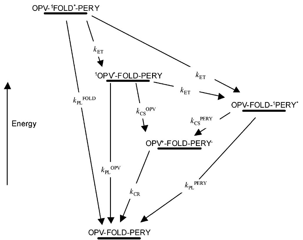 Schematic diagram describing the energy levels of the