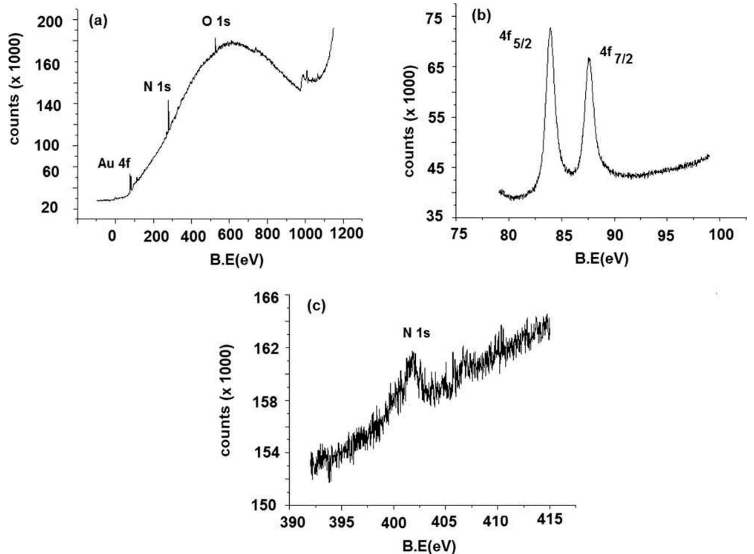 Figure 5 - from Polyelectrolyte-aided synthesis of gold and
