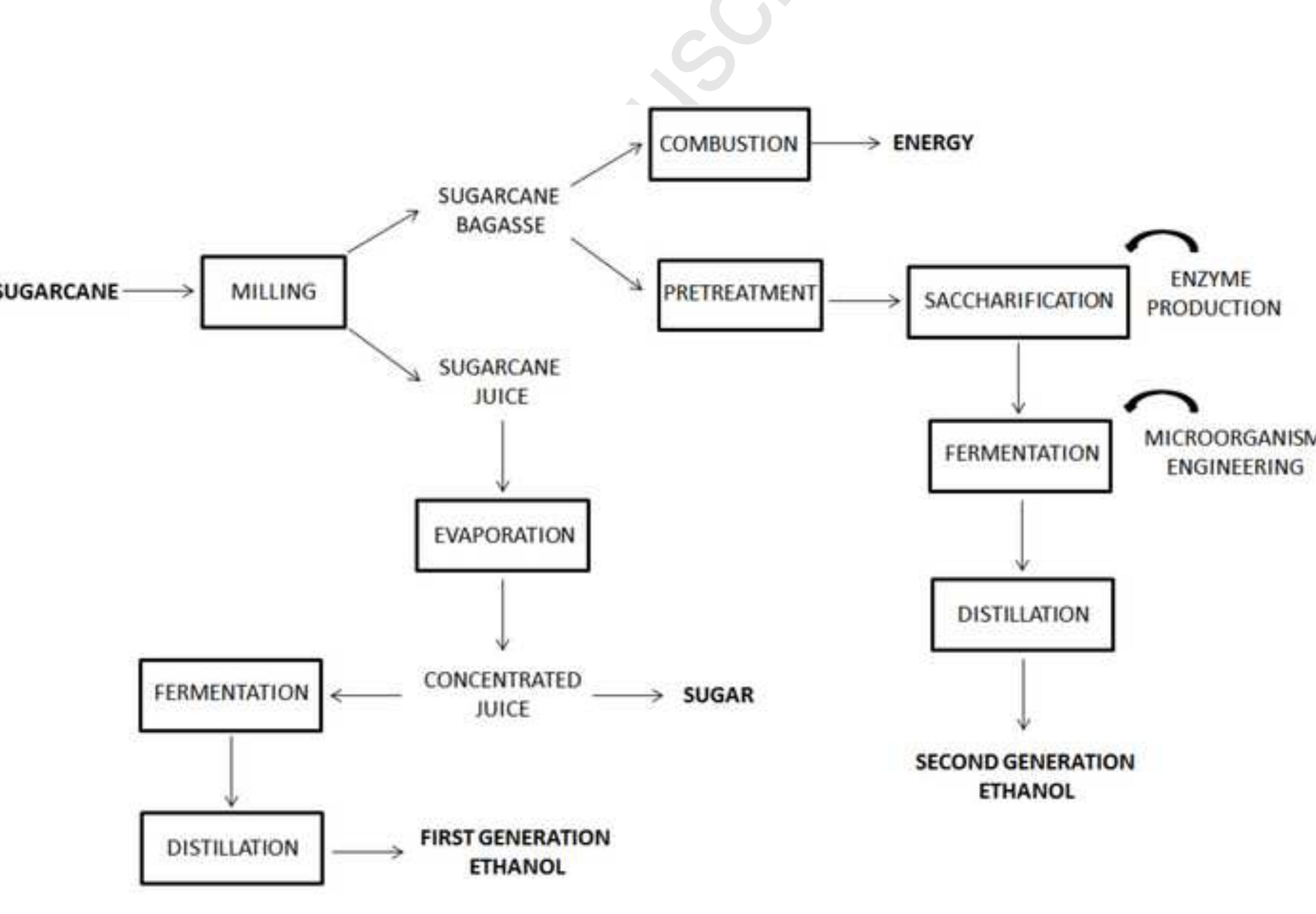 Figure 1 - Enzymatic hydrolysis of lignocellulosic biomass: