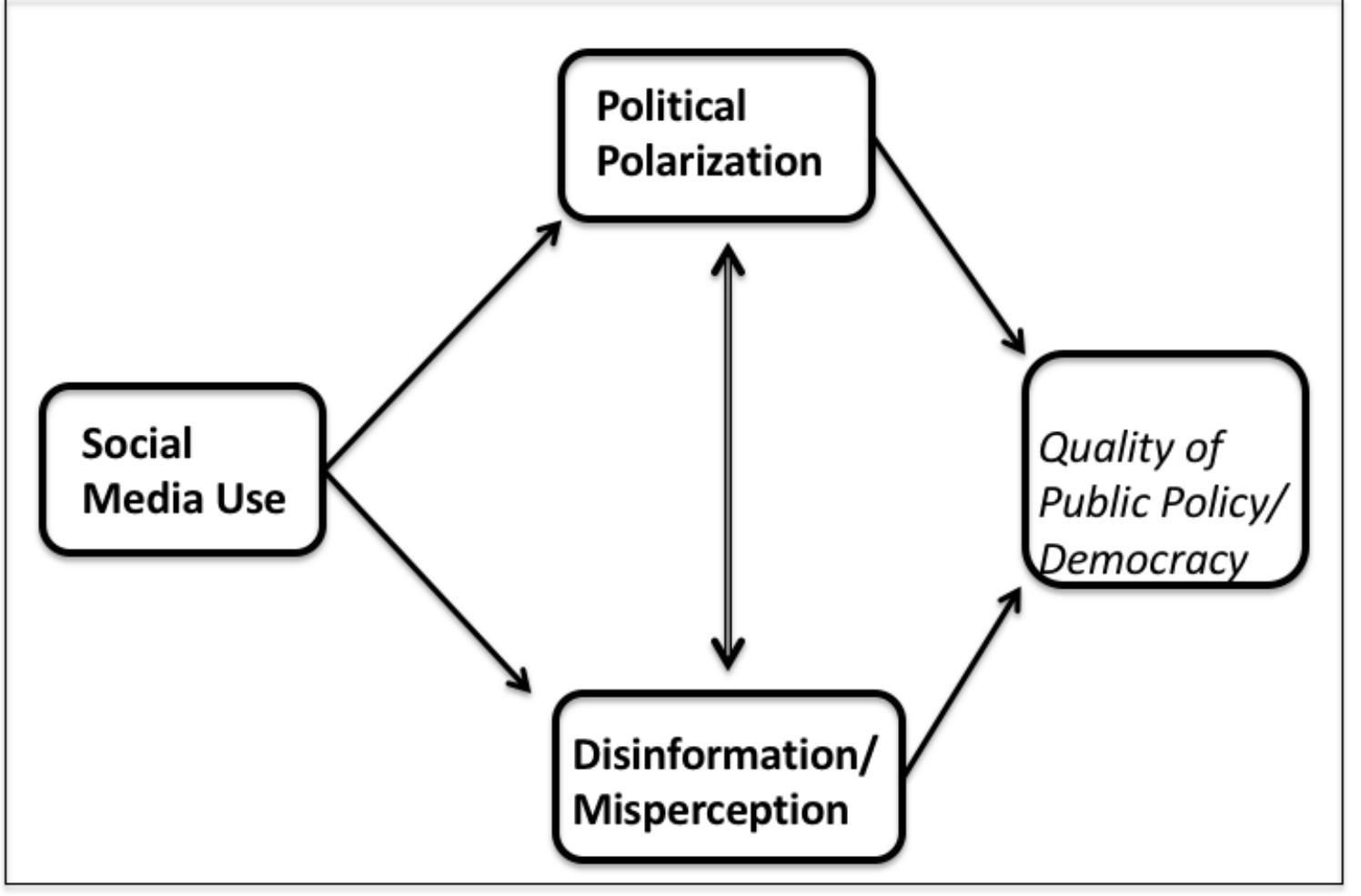 (PDF) Social Media, Political Polarization, and Political ...