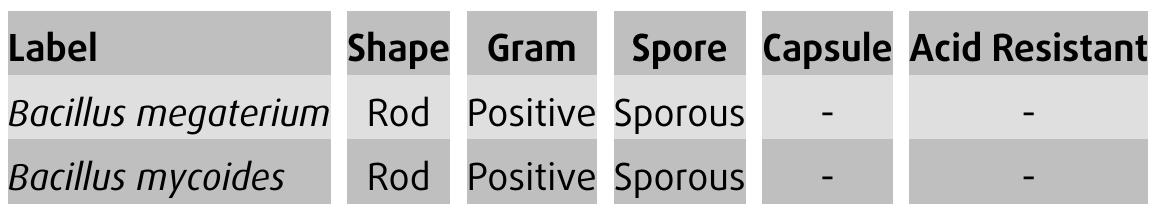 Cell morphology of bacillus megaterium and bacillusmycoides.