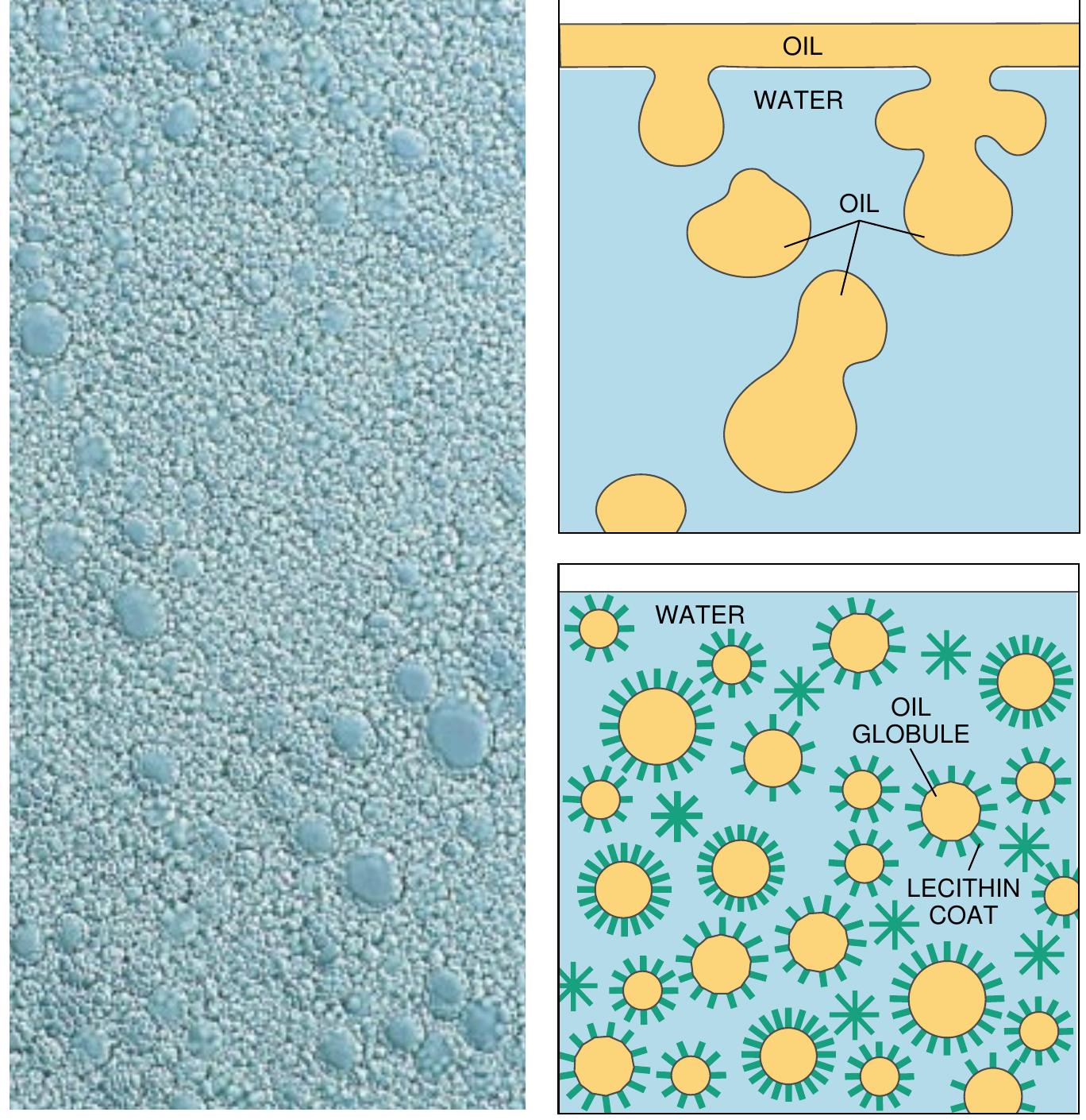 (PDF) Chemistry and Physics in the Kitchen