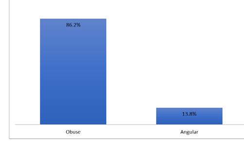 Simple bar graph showing the distribution of the most