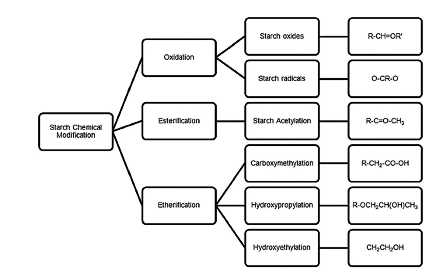 Schematic summarizing classical chemical methods for starch
