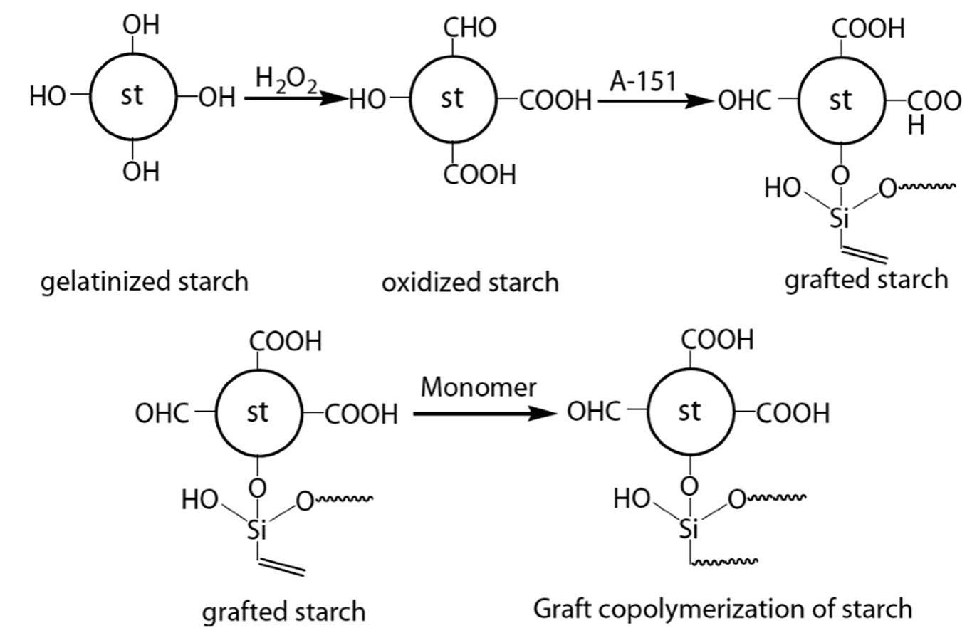Reaction pathway for the synthesis of starch-based adhesive