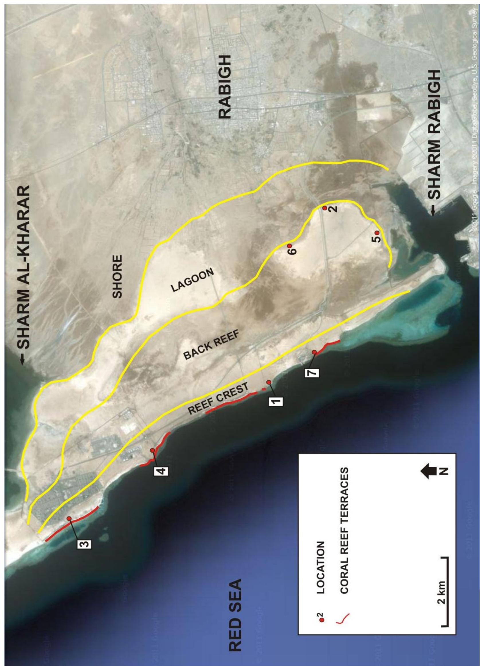 Figure 63 - Late Pleistocene raised coral reefs in the