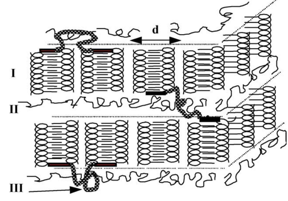 Microphase structure of i:il:iil-li salt. fig. 8(a)(i) shows