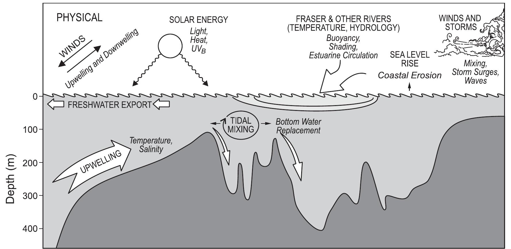 Figure 2 - from Effects of local and global change on an
