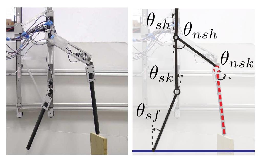 The biped robot amber (left) and the angle con- ventions